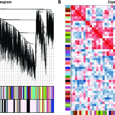 Identified Module Related To Th2 Cell Infiltration And Go Enrichment