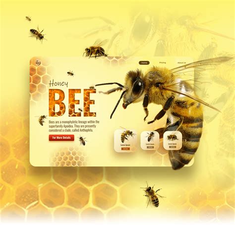Bee Ui Design On Behance