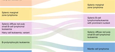 Lymphoma Classification Symptoms Causes Treatment Prognosis