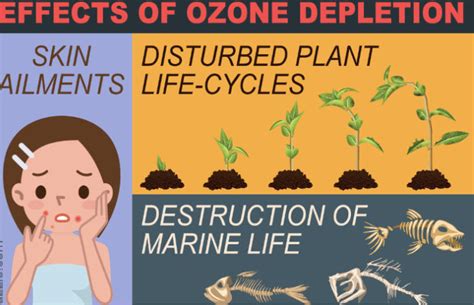 Ozone Layer And Its Depletion Causes