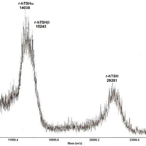 Maldi Tof Mass Spectra Of Native Pituitary P1 P2 And Of Recombinant Download Scientific