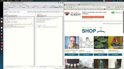 cors vulnerability with basic origin reflection video solution youtube