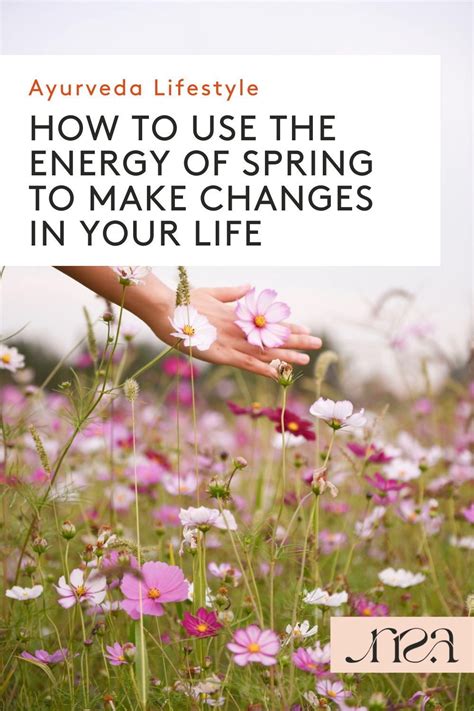 Harnessing The Energy Of Spring For Transformation