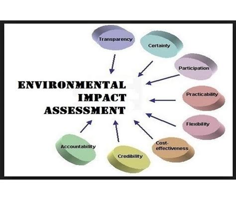Environmental Impact Assessment Eia
