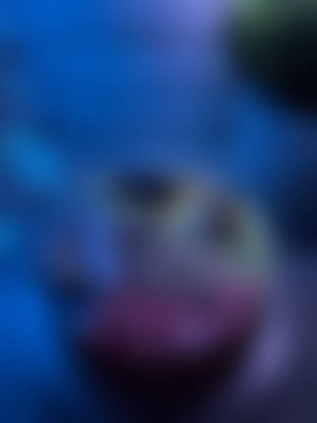 Торты четвертинки Сникерс Чёрный лес молочная девочка с малиновым соусом ванильный с бананом