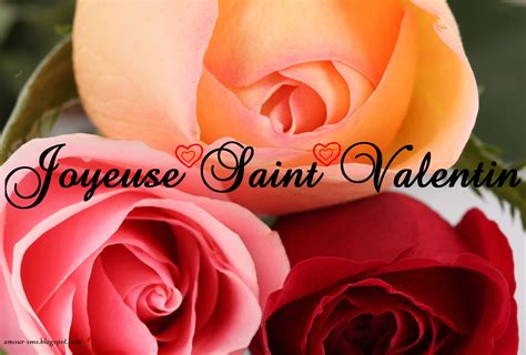 Cartes de voeux pour la st valentin | les meilleurs SMS d'amour 2015