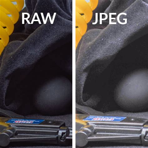 Raw Vs Jpeg What File Format Is Best For Your Photography Visual Education