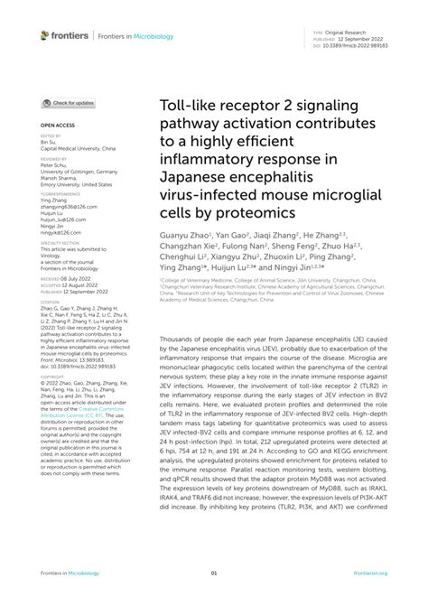 Pdf Toll Like Receptor 2 Signaling Pathway Activation Contributes To