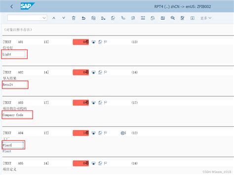 sap 文本翻译 se91批量翻译 csdn博客