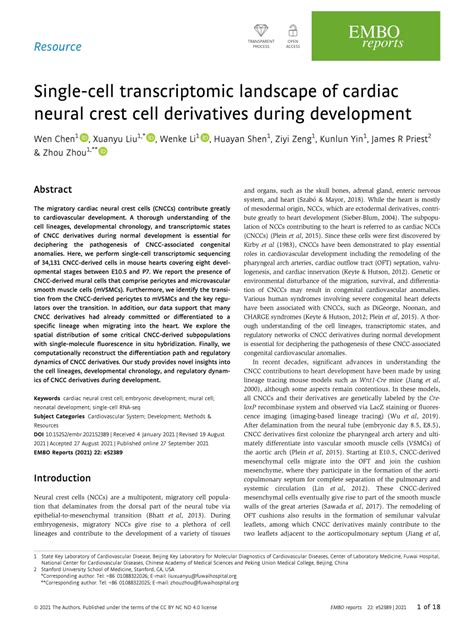 Pdf Single‐cell Transcriptomic Landscape Of Cardiac Neural Crest Cell Derivatives During