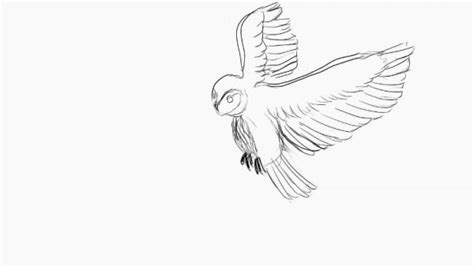 Morphing In Animation Detailed Explain And Guide