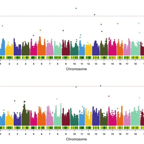 manhattan plots showing significantly associated snps detected in