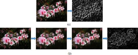 Figure 5 From A Robust Blind Deblurring Method For Natural Blurry
