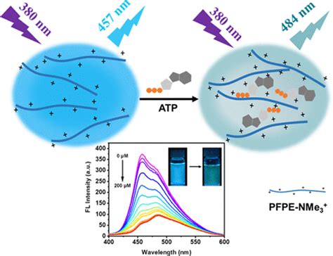 Water Soluble Conjugated Polyelectrolytes For Adenosine Triphosphate