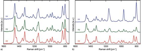 Figure 1 From Molecular Orientation Behavior Of Isotactic Polypropylene Under Uniaxial