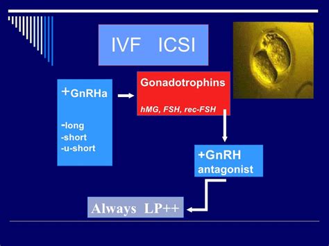 Ovarian Stimulation Protocols
