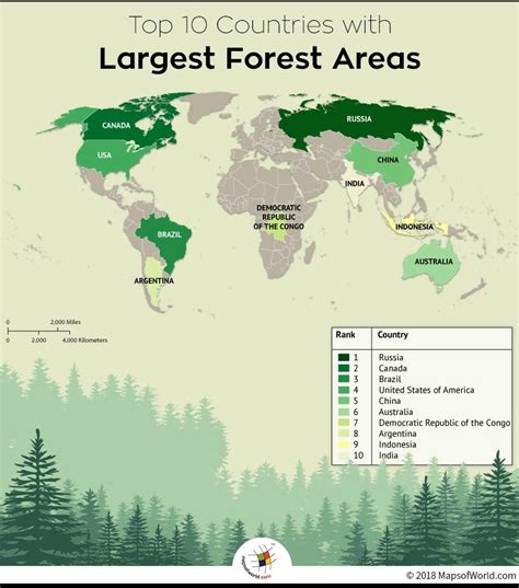 อัลบั้ม 94 ภาพพื้นหลัง What Is The Biggest Country In The World สวยมาก
