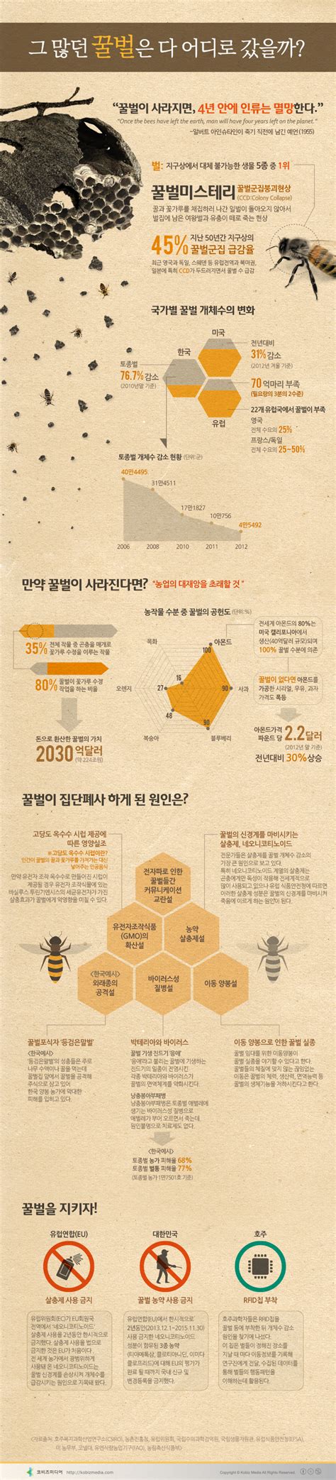 Inforgraphic 국내인포그래픽 그 많던 꿀벌은 다 어디로 갔을까 Copyrightⓒkobizmedia 무단복사