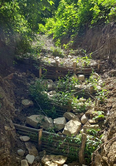 Integrated Flood Risk Mitigation Systems In Forest River Basins European Commission