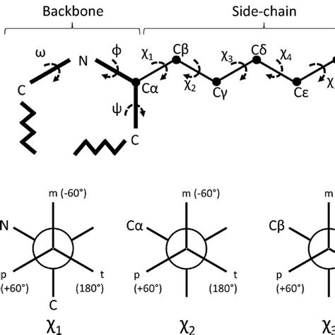 Representative Example Of Rotamer Analysis An Implicit Md Simulation