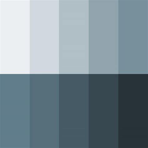 Paleta De Colores De Variación De Tono Gris Vector Premium