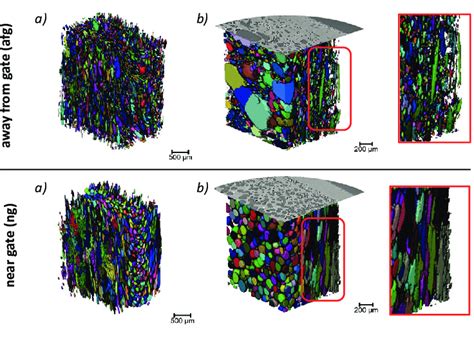 3d Reconstruction Of Cell Volumes Based On [97] A All Cells Between Download Scientific