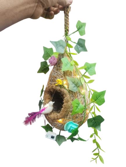 Love Birds Nest Love Birds Nest