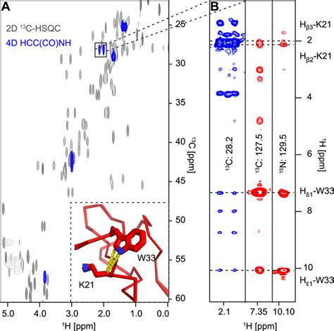 Nuclear Overhauser Effect Spectroscopy Plos One