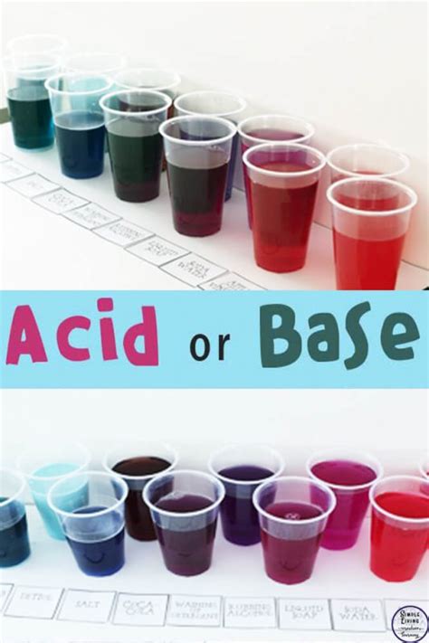 Acid Or Base Experiment Simple Living Creative Learning