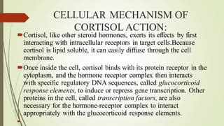 Adrenal Gland Pdf