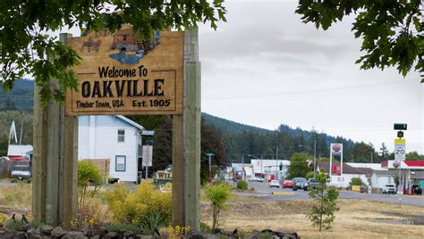 Oakville Blobs In 1994 Mysterious Gelatinous Goo Rained Down On Washington IFLScience