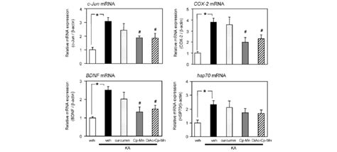 Expression Profile Of Immediate Early Genes Iegs Induced By Ka With Expression Profile Of Immediate Early Genes Iegs Induced By Ka With