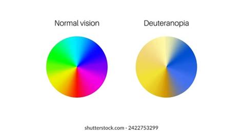 Deuteranopia Normal Vision Color Blindness Infographic Stock Vector