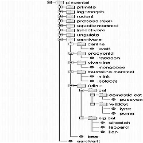 a multi branched labeled hierarchy based on wordnet note the groups