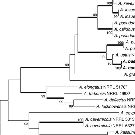 fig s3 the ml tree with the highest log likelihood score based on the