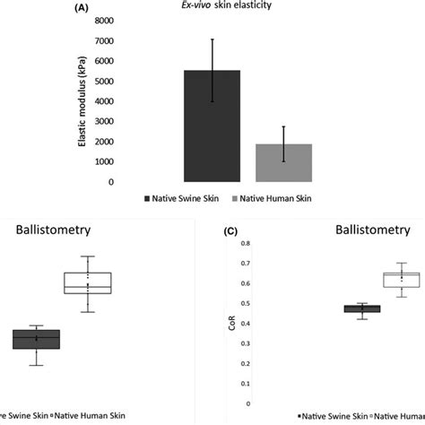 Tensile Testing And Ballistometry Modalities Measure Skin Elasticity Download Scientific