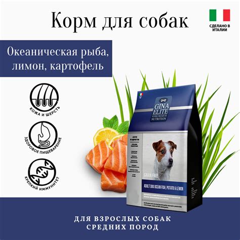 Gina корм для взрослых собак с океанической рыбой, картофелем и лимоном ...
