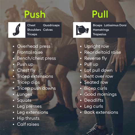 List Of Push Pull Legs Exercises Eoua Blog