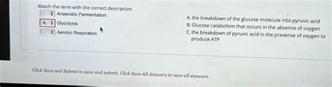 Solved Match The Terin Wlh The Correct Description Anaeroblc Fermentalion Glycolysis Autob C