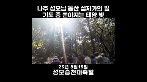 ☀️나주성모님동산 십자가의 길 기도 중 쏟아지는🌈태양 빛살⚡마리아의구원방주 성모승천대축일 기도회 23년 8월 15일 15시27분41초 Youtube