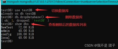 mongodb 6 0 使用命令行对数据库操作 怎么进入mongodb 控制台 csdn博客