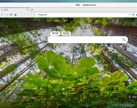 Linux Connect 网络不可达、没有ip解决方法 Csdn博客