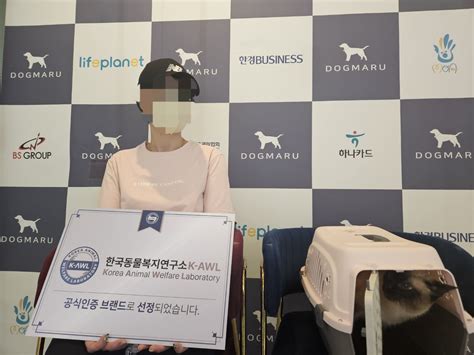 샴 막내모카 포미분양 포매라니안분양 포메리안분양 치아와분양 말티스분양 푸말티분양 러시아블루분양 포미분가격 포매라니안분양가격 포메리안분양가격 치아와분양가격 말티스분양가격