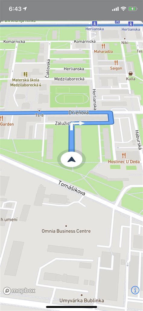 UserCourseView Puck Is Off Issue Mapbox Mapbox Navigation Ios GitHub