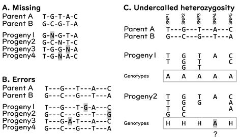 Utilization Of Genotyping By Sequencing Gbs For Rice Pre Breeding And Improvement A Review