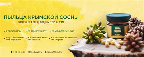 АСКЕЗА | Семейная мануфактура | Заготавливаем Сосновую пыльцу на Южном ...