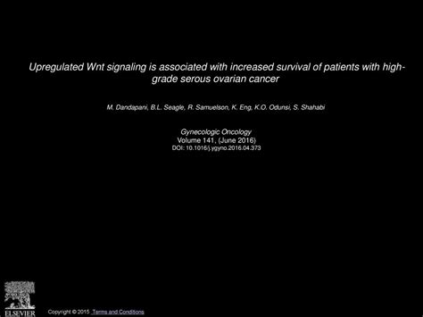 Upregulated Wnt Signaling Is Associated With Increased Survival Of Patients With High Grade