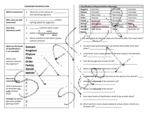 Intro To Taxonomy Classification Notes Quick Activities Tpt
