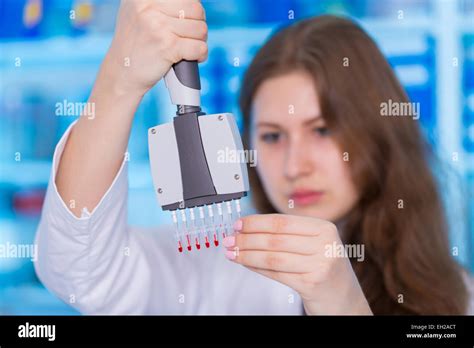 Womanl With Multi Pipette In The Laboratory Of Microbiology Stock Photo Alamy