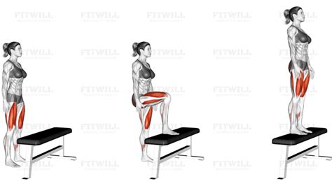 Step Up Übungsanleitung Video Techniken Vorteile Anleitung Beanspruchte Muskeln Tipps